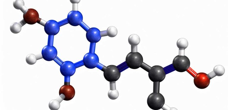 Ciclohexilamina: Información de producto | Akraw Química
